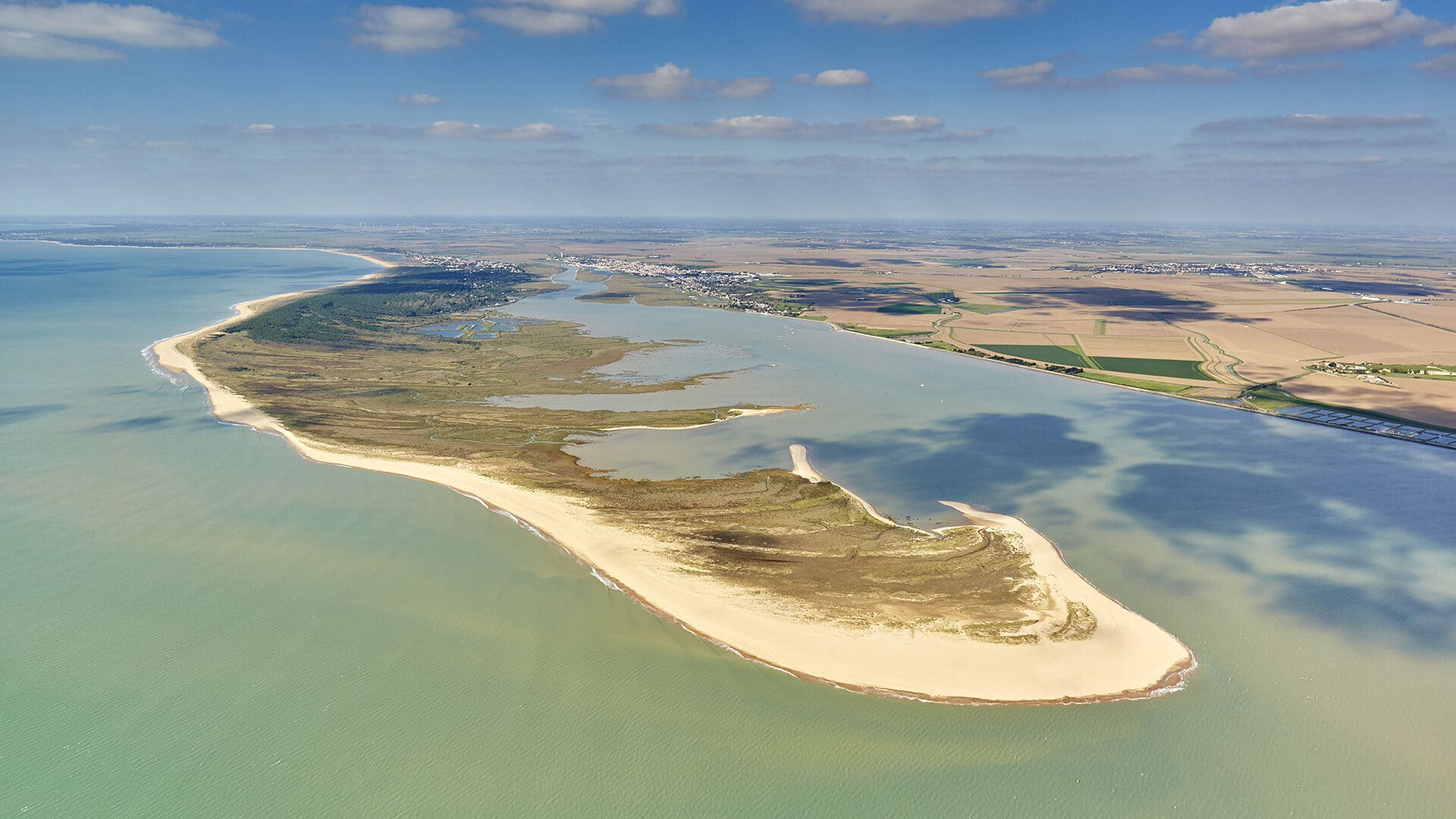 A must-see in the Vendée: visit the Pointe d'Arçay, follow the guide ...